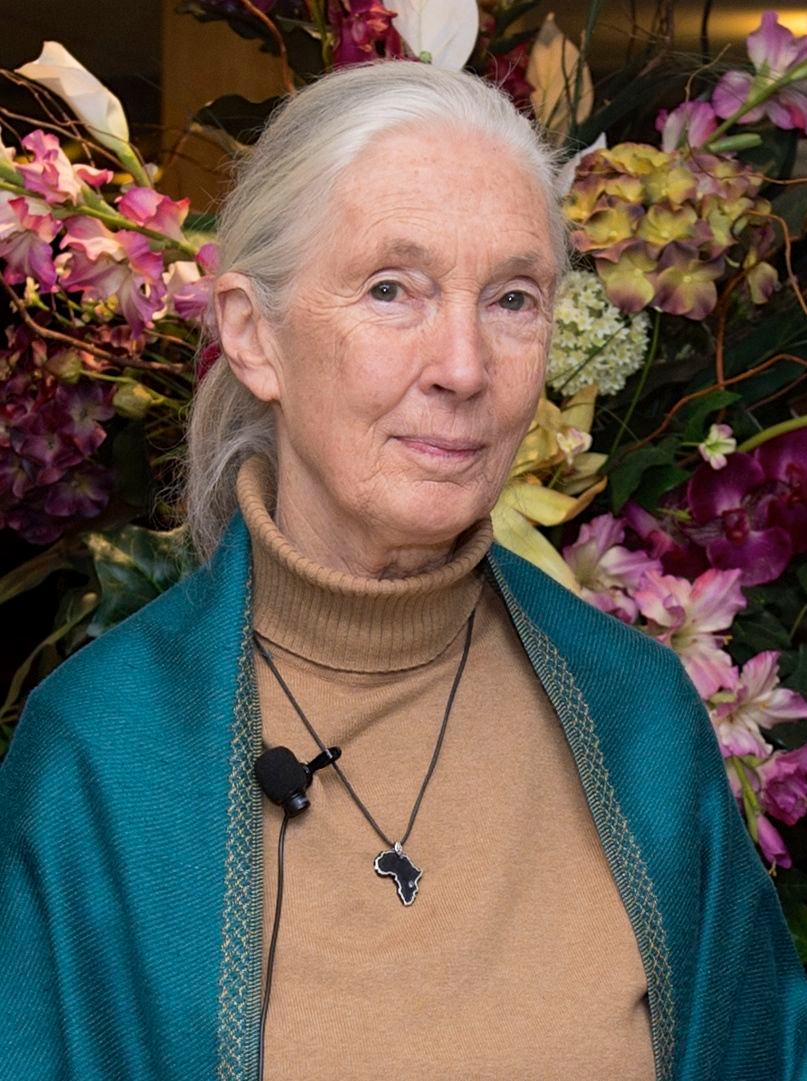 Netflix: Dr. Jane Goodall-Famous Last Words - Siena Center
